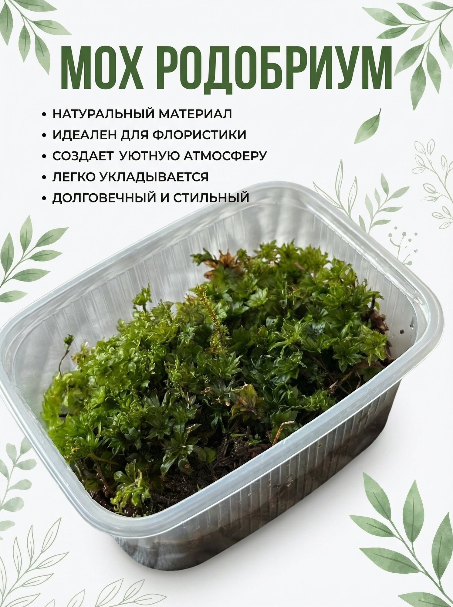 Мох родобриум, для декора, флорариумов, террариумов, лесной, свежий, 250 мл