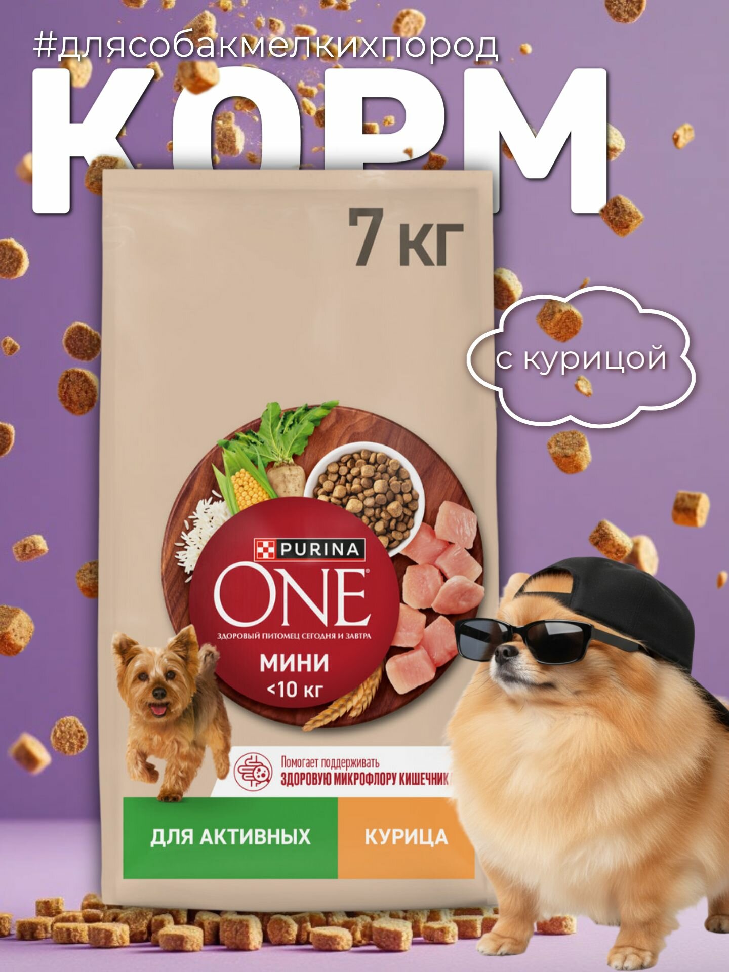 Сухой корм Purina ONE для собак мелких пород с активным образом жизни, с высоким содержанием курицы и с рисом, 7 кг