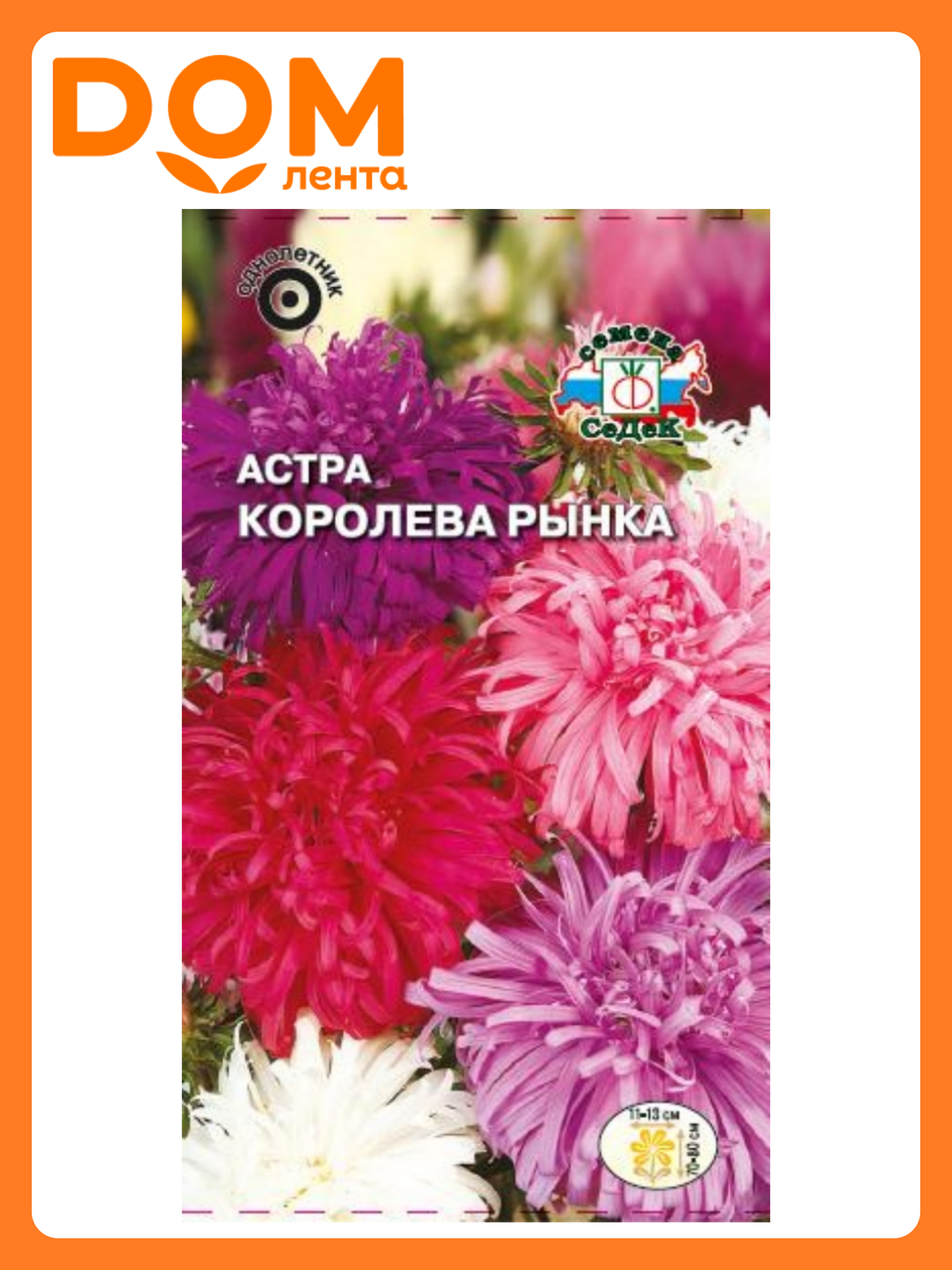 Астра Королева Рынка СеДек