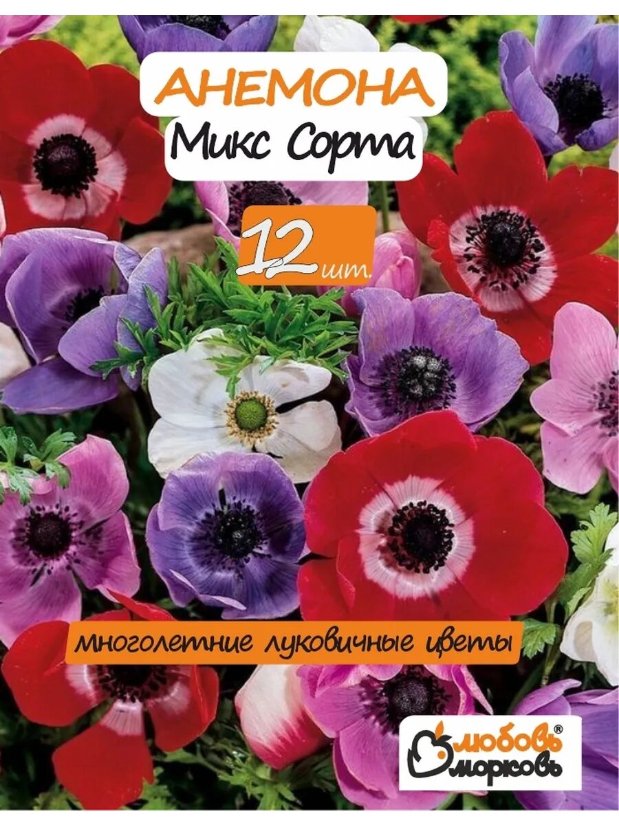 Анемона луковицы, микс сорта 12 шт