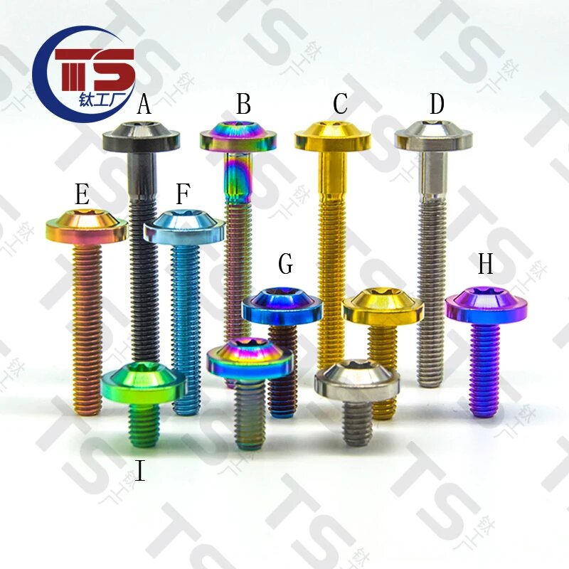 Титановые болты TS М4/M5/M6/M8X10/15/20/25/30/35-60 мм 10 шт. I, M5X10 mm