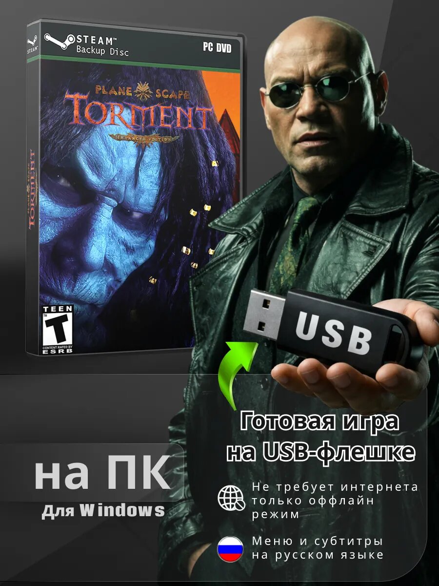 Planescape: Torment: Enhanced Edition (2017) на USB флешке для ПК