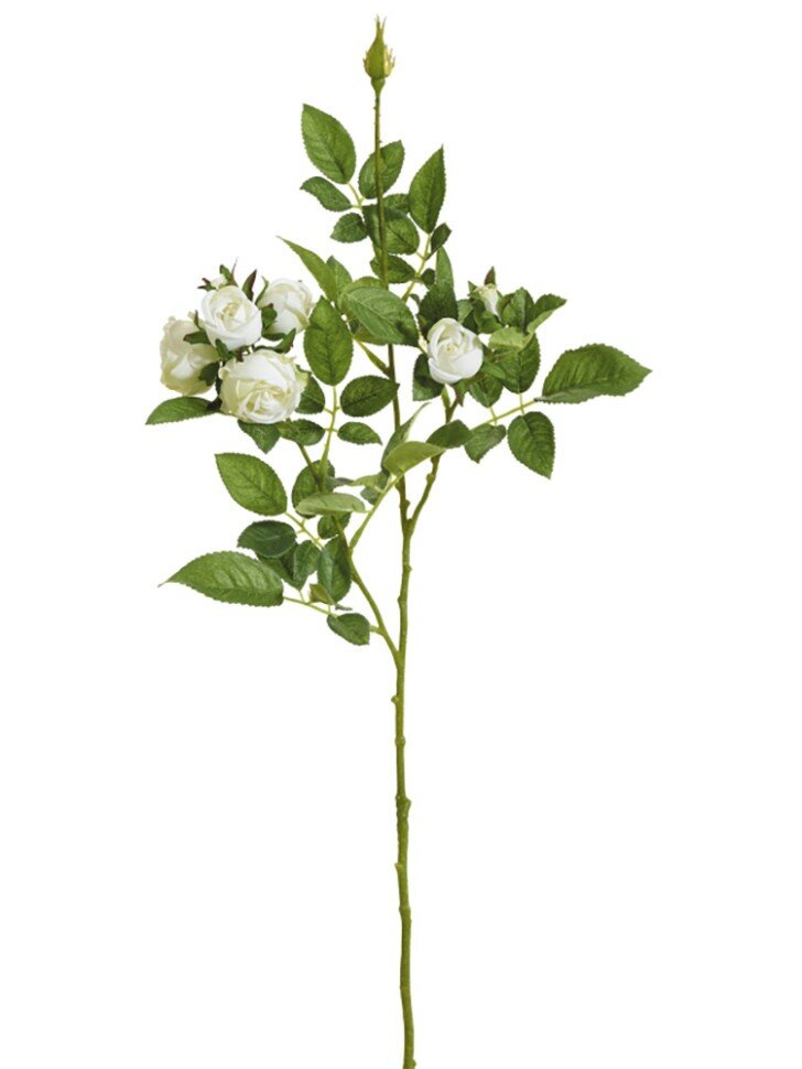 Fiebiger Floristik 206866-130 Ветка декоративная "Роза", 73 см