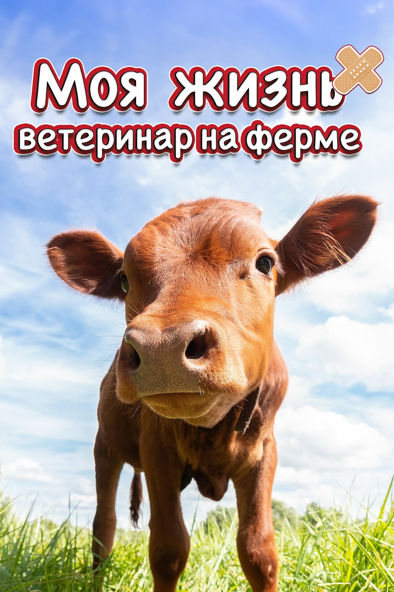 Игра Моя жизнь: ветеринар на ферме — Xbox Series X|S, Xbox One, PC — Цифровая версия