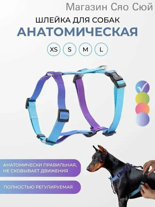 Анатомическая шлейка для собак средних и крупных пород, размер L, цвет синий, Paws&Tails