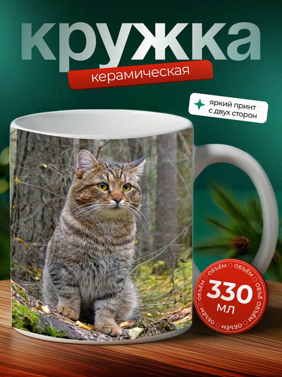 Кружка Северная лесная кошка 14,
