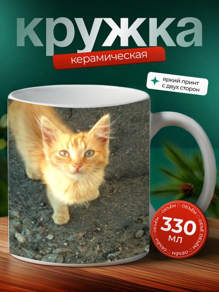 Кружка Американский рингтейл кот 58,