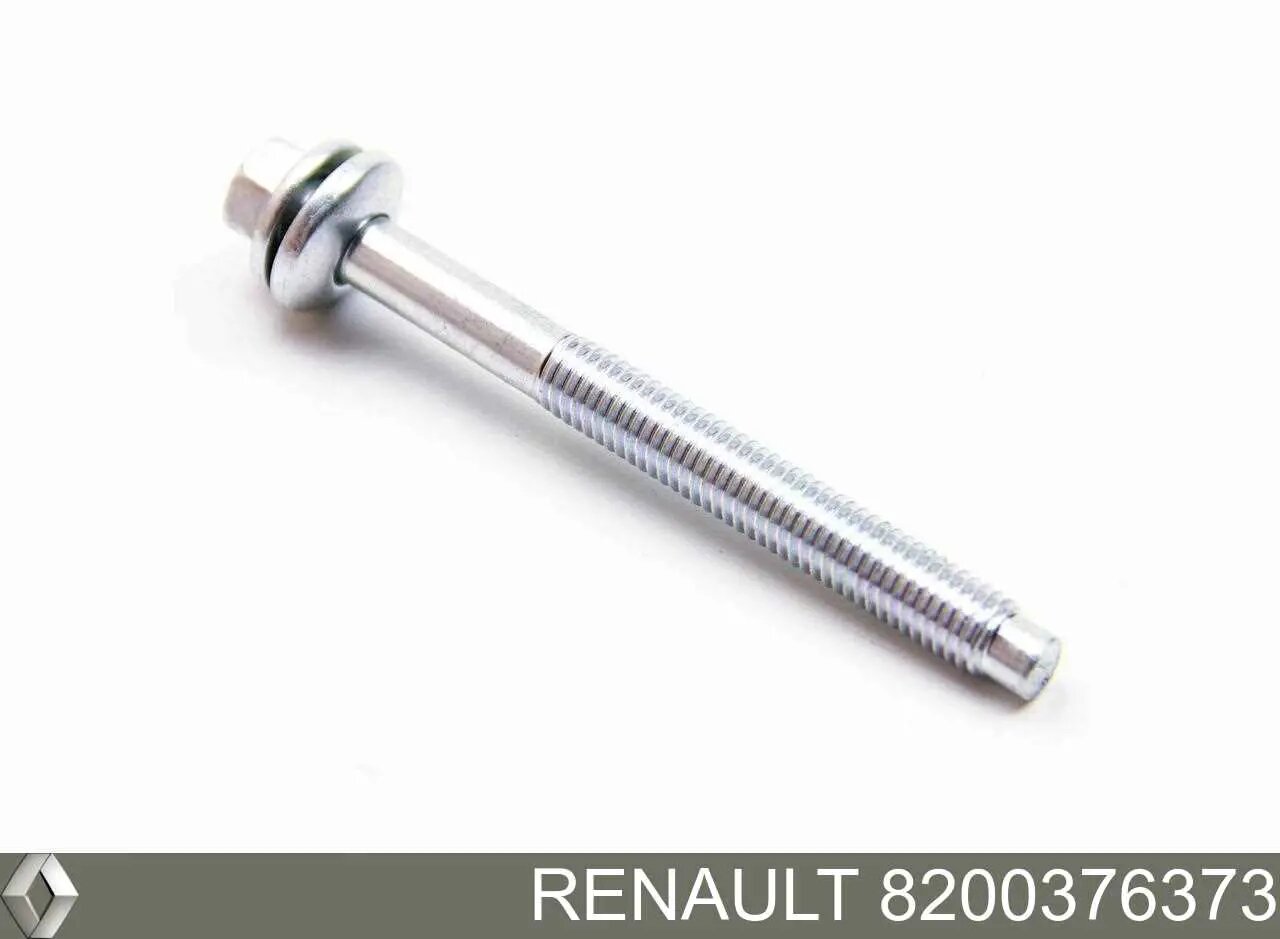 Болт крепления топливной форсунки RENAULT/NISSAN /