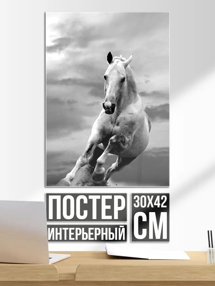 Постер на стену Белая лошадь в степи