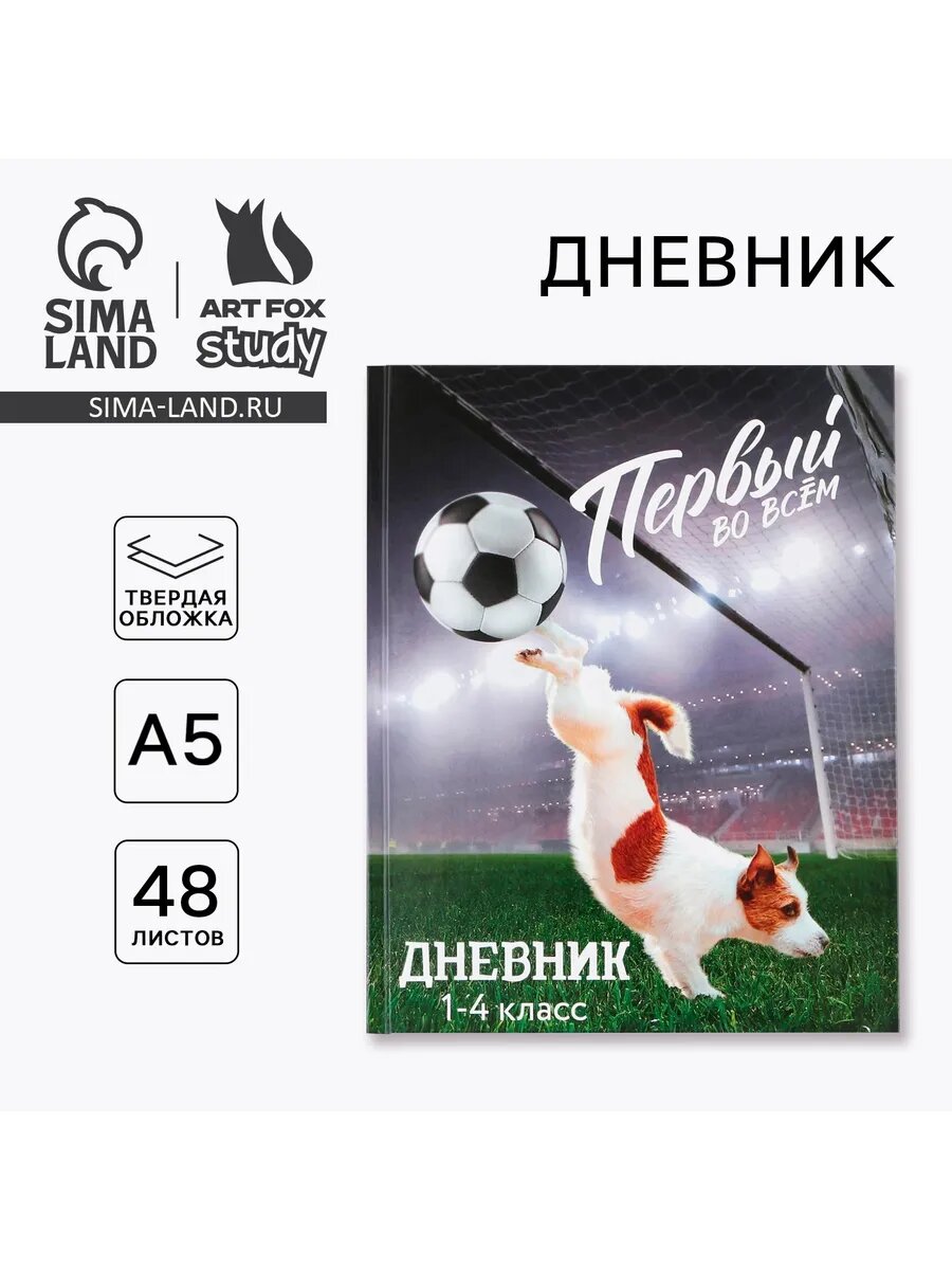 Дневник школьный для мальчиков 1-4 класс