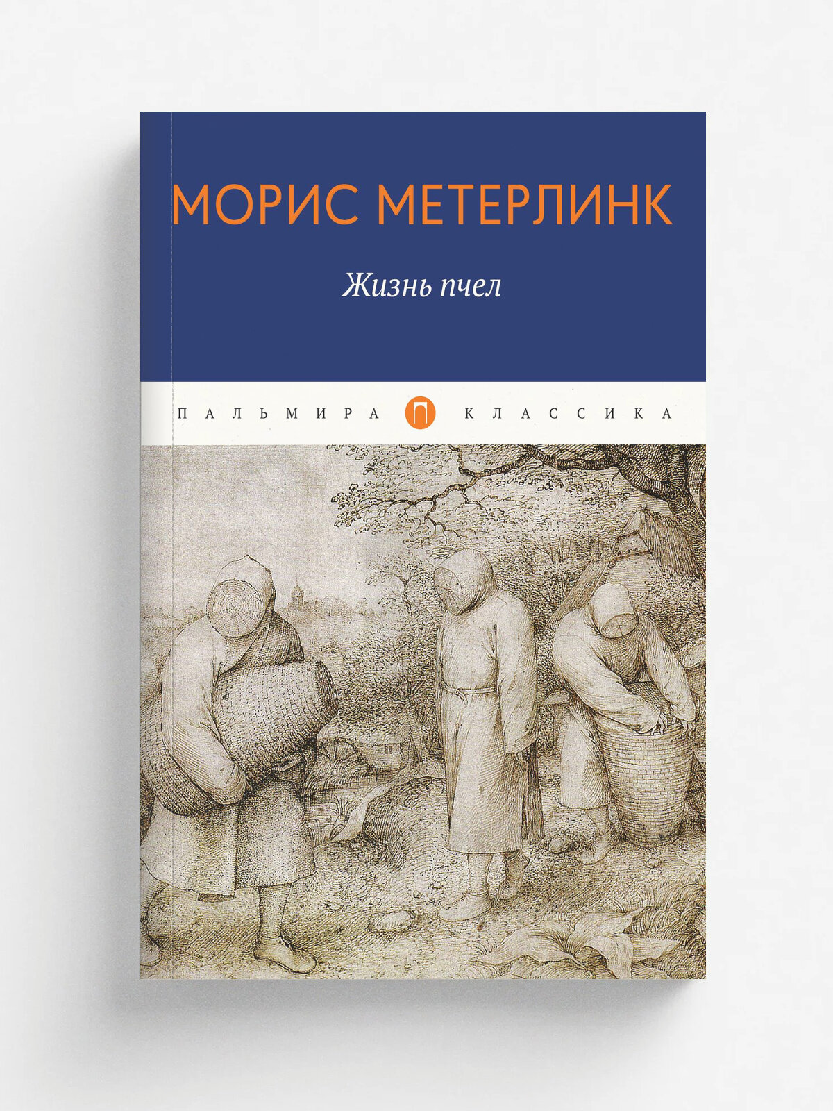 Жизнь пчел