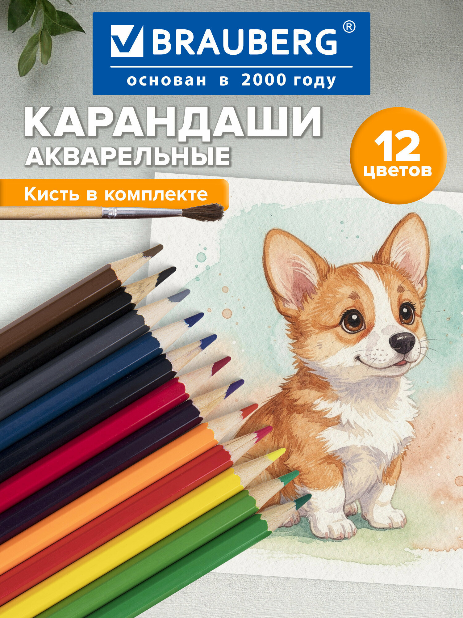 Карандаши акварельные цветные для рисования классические мягкие Brauberg, 12 цветов, с Кистью, шестигранные, грифель 3 мм, натуральное дерево, 181848