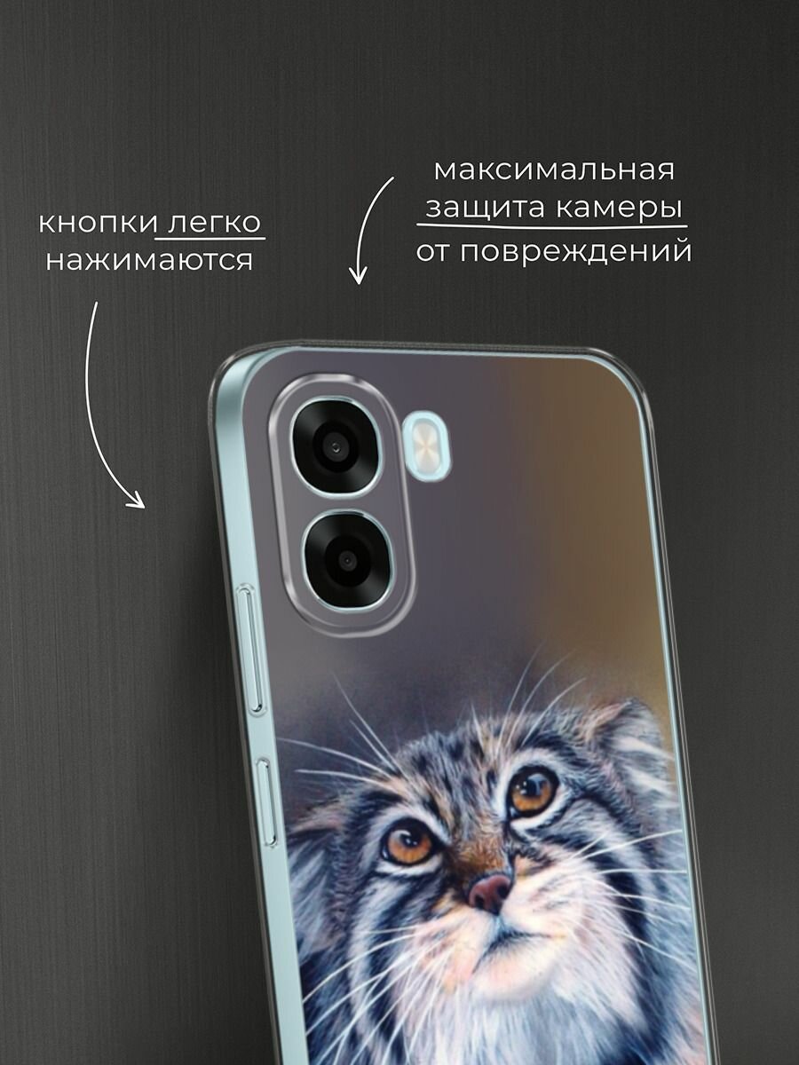 Силиконовый чехол на Oppo A6x / Оппо A6x с принтом Кот манул 2 — фото 1