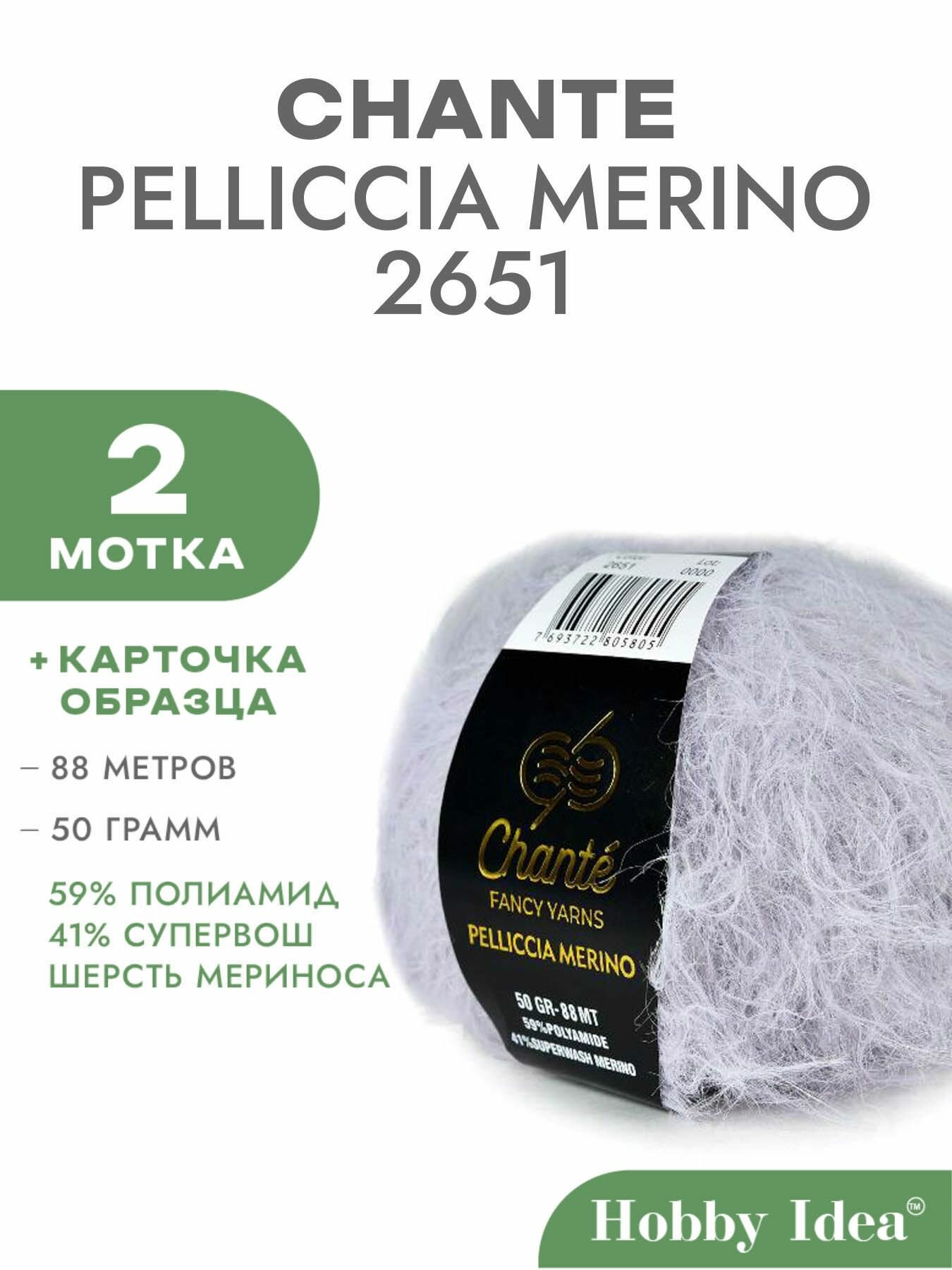 Пряжа Chante Pelliccia Merino 2651 Светло-серый 2 мотка (Пушистая пряжа Шантэ Пеллициа Мерино)
