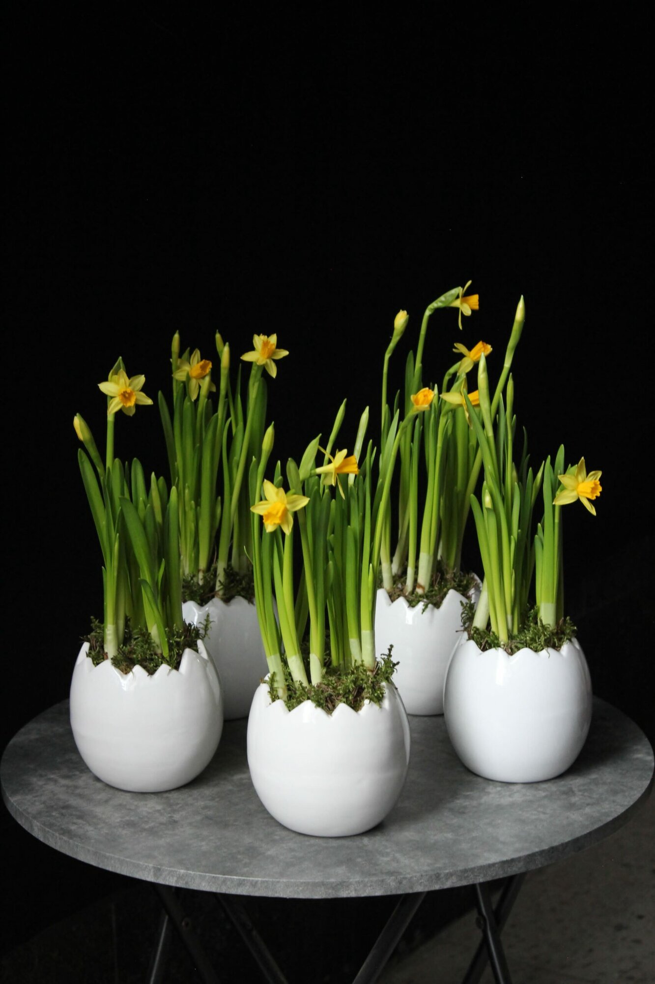 Пасхальная композиция луковичные нарциссы в керамическом яйце