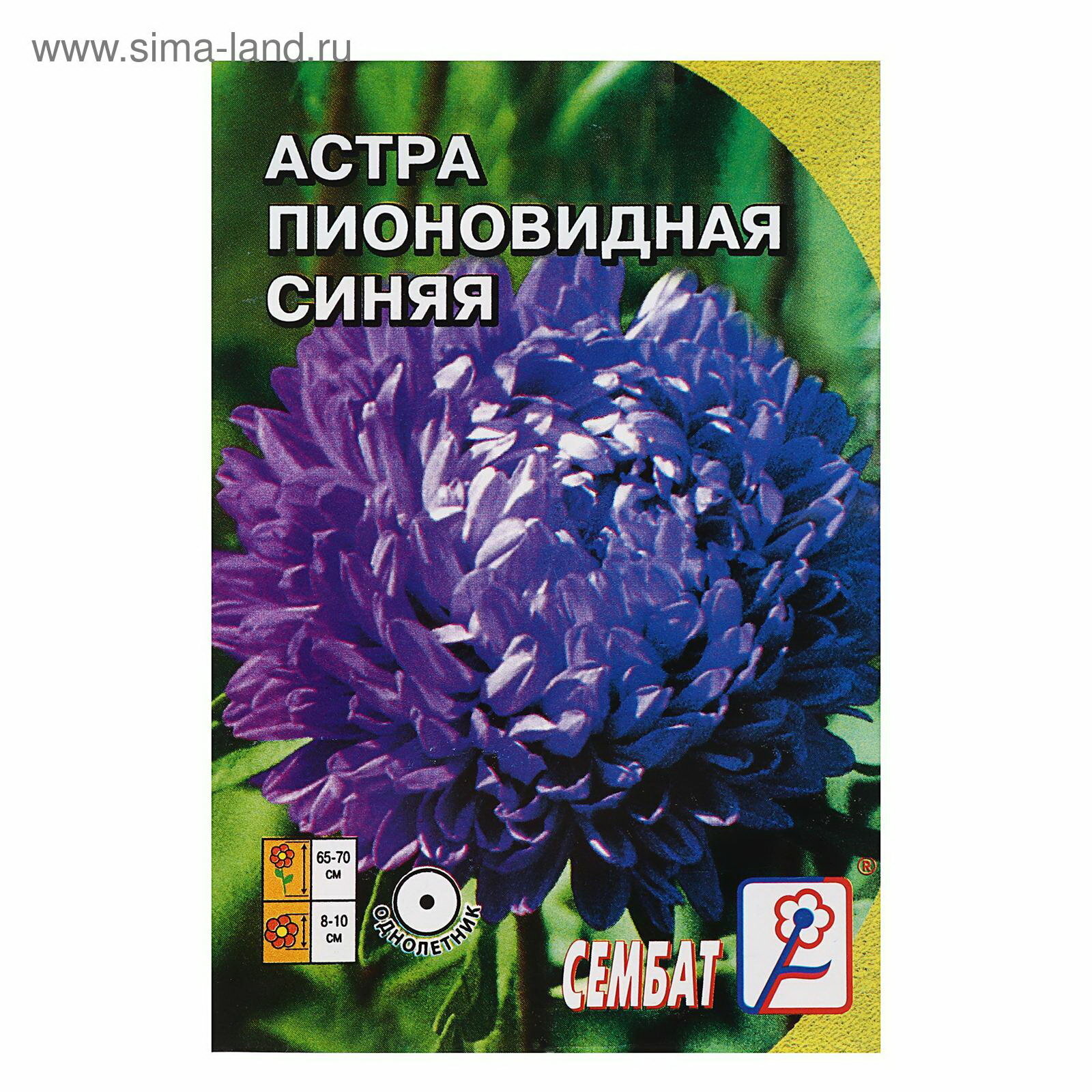 Семена цветов Астра пионовидная, синяя, 0, 2 г, вид: астра, посев на рассаду: апрель, 9 шт.