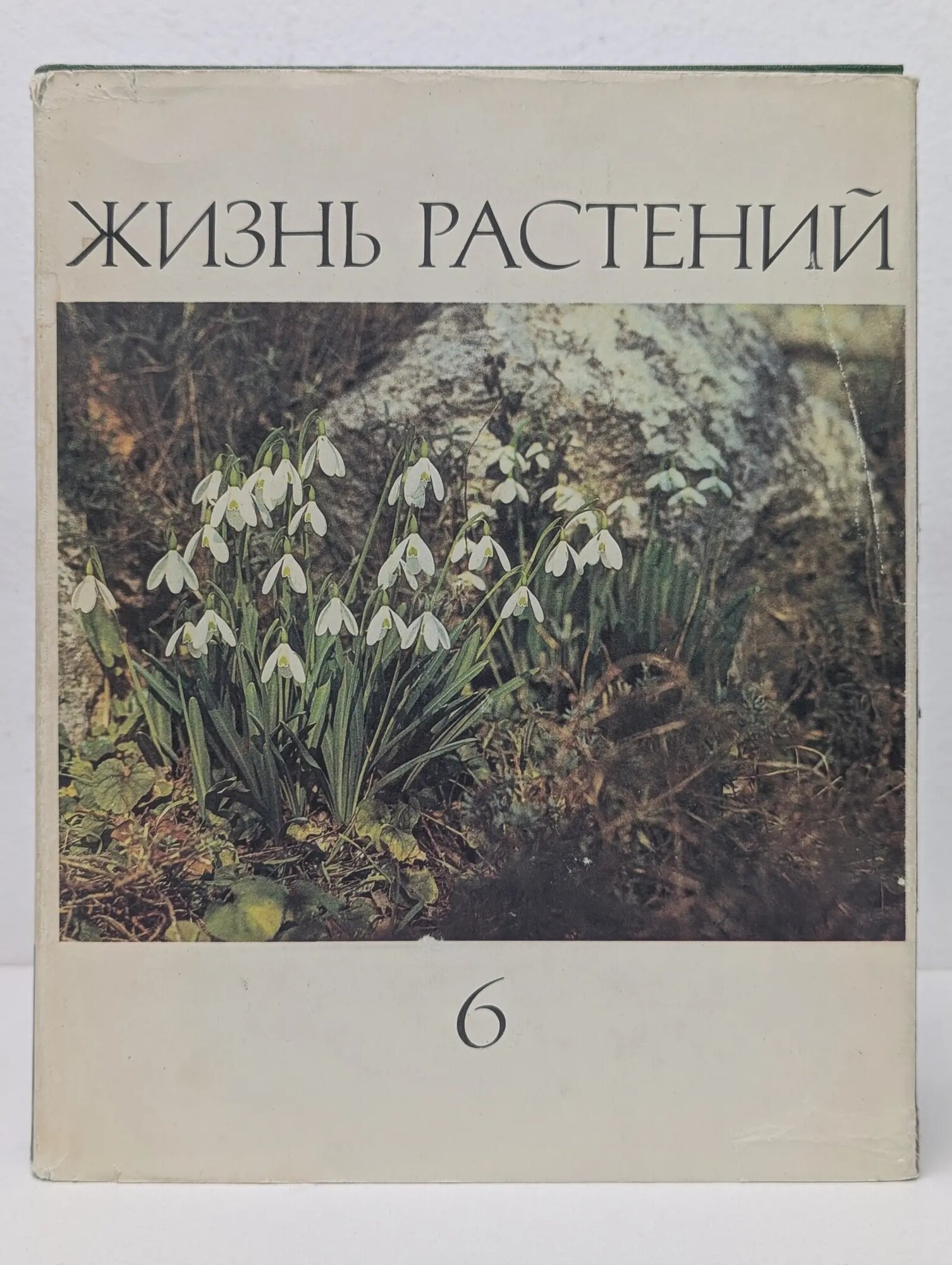Жизнь растений. Том 6. Цветковые растения Тахтаджян Армен Леонович (ред.) 1982