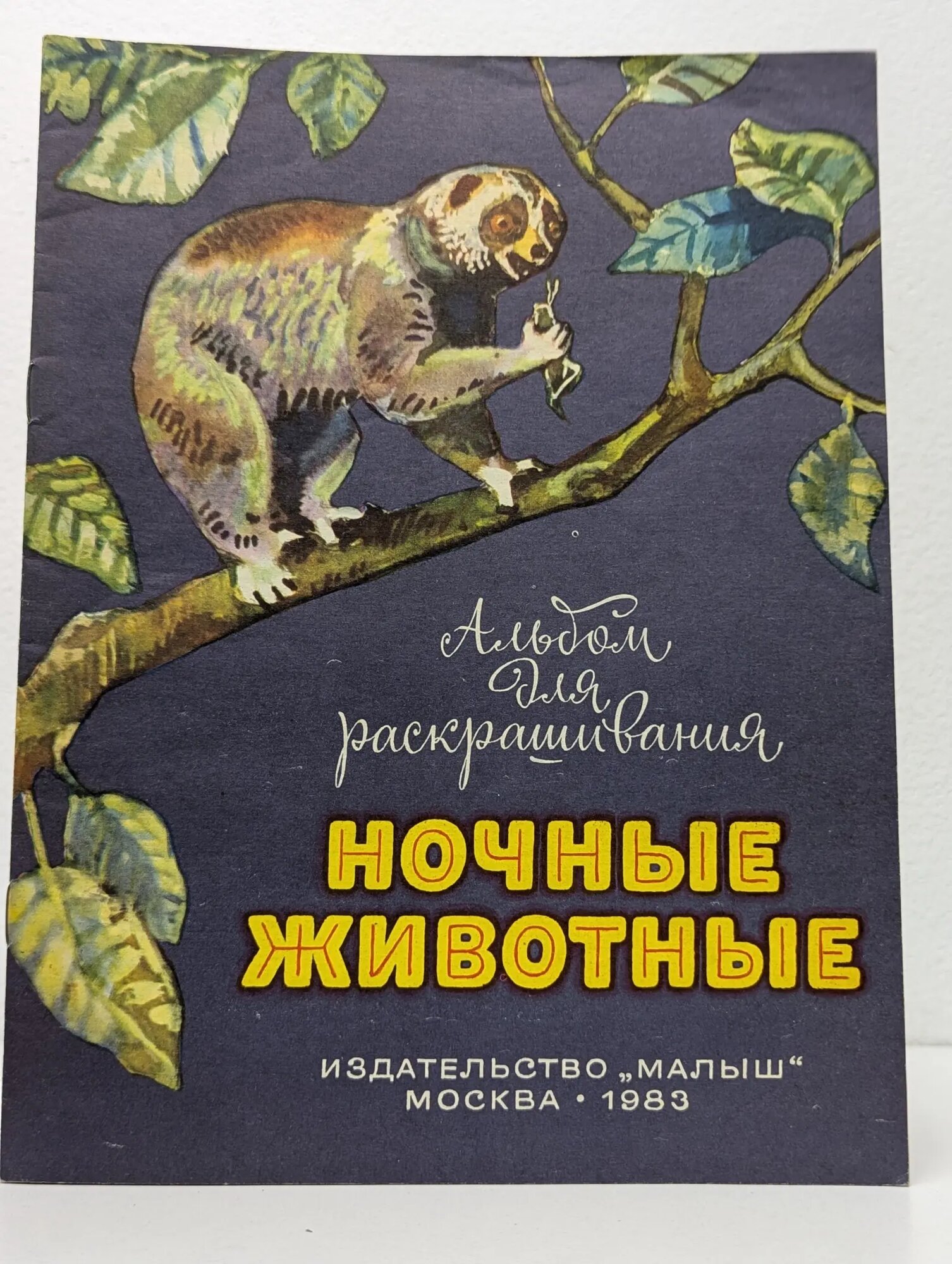Альбом для раскрашивания. Ночные животные. Альбом для раскрашивания Лунин В. 1983