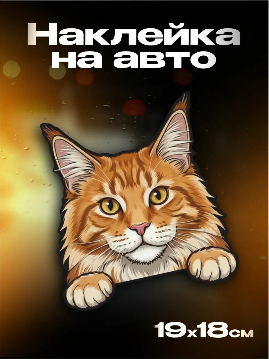 Наклейка на авто кот
