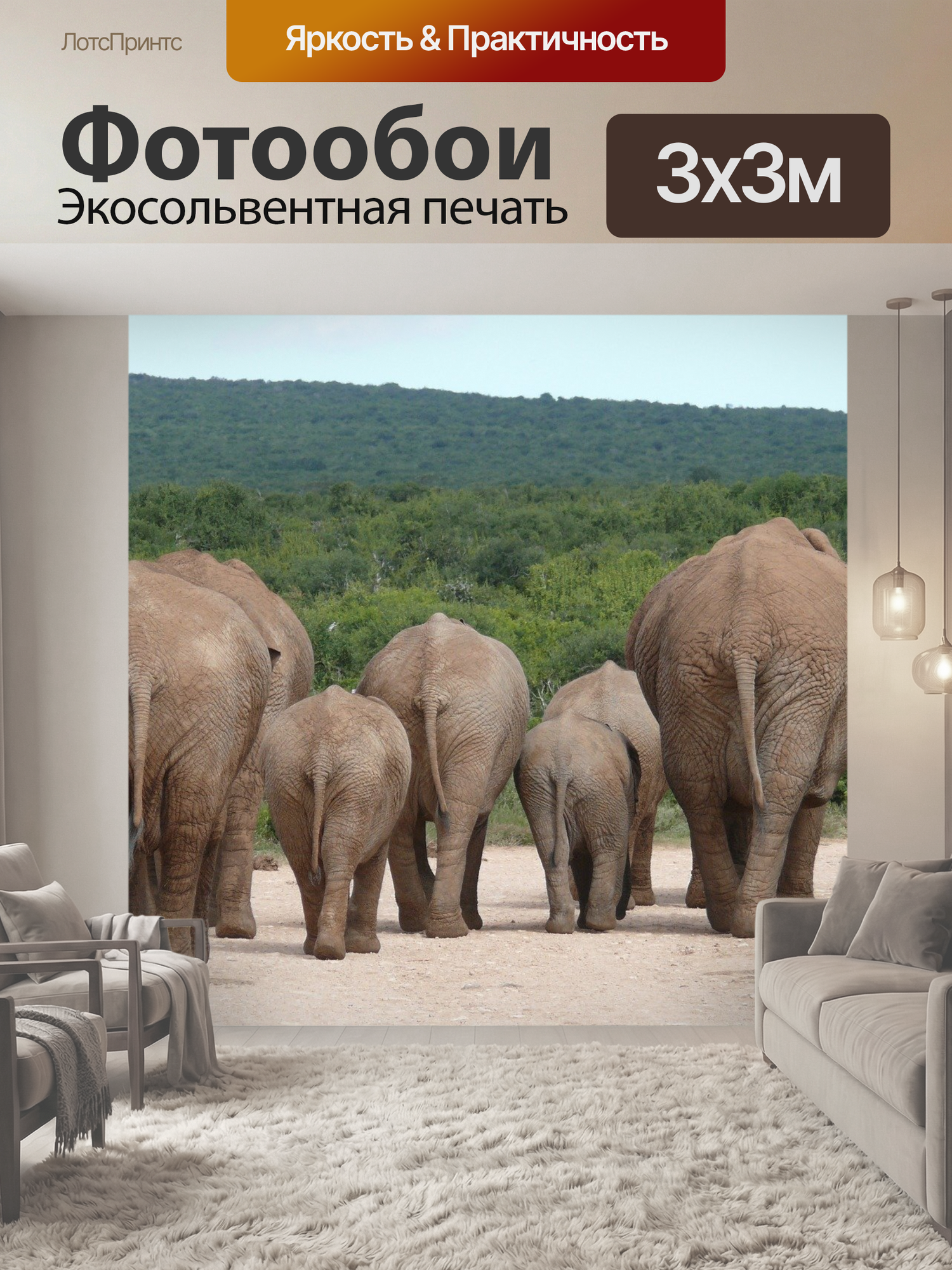 Фотообои "Слоны, стадо слонов, стадо" 300x300 см. экосольвентная печать