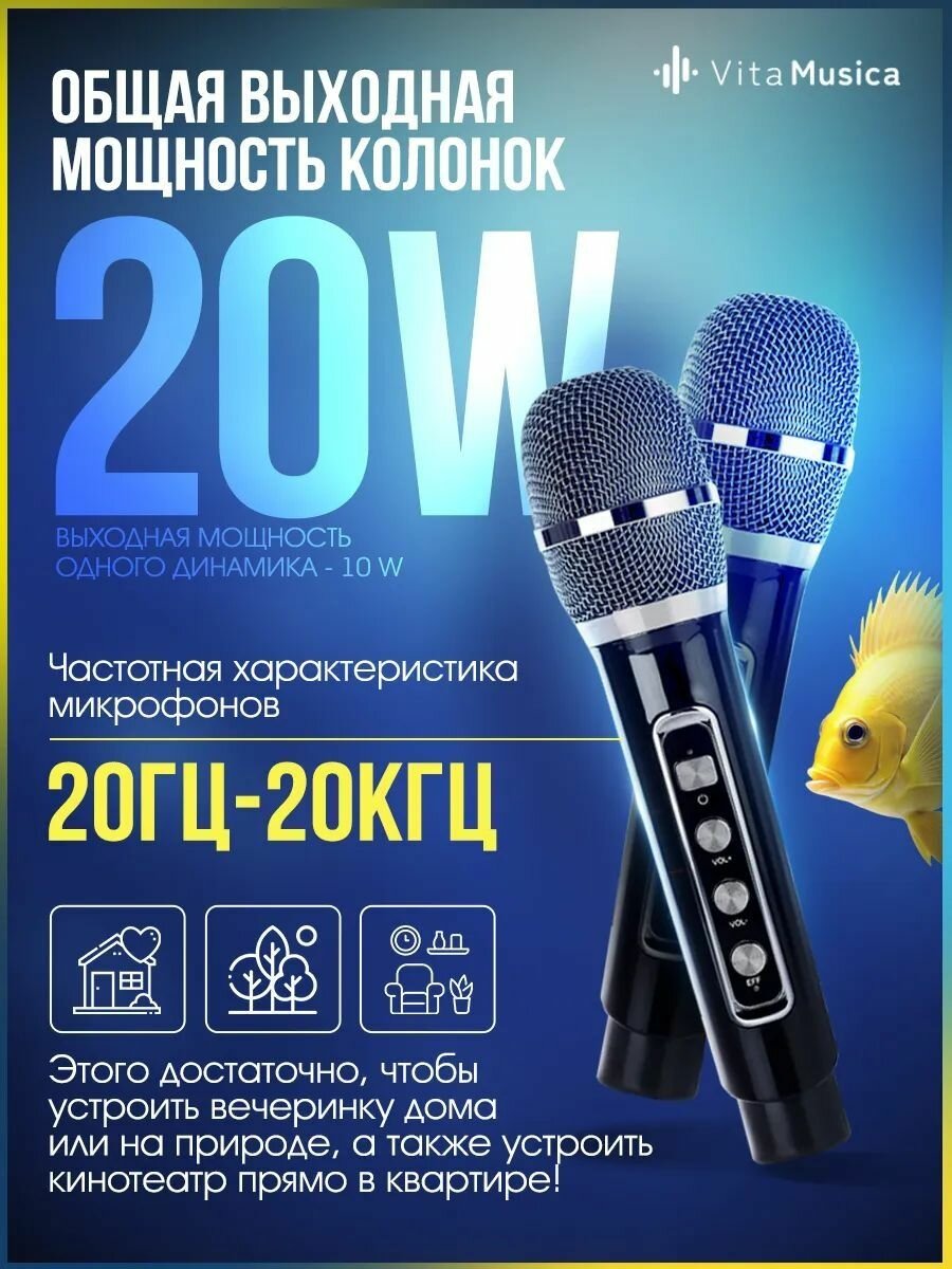 Караоке-система — фото 1