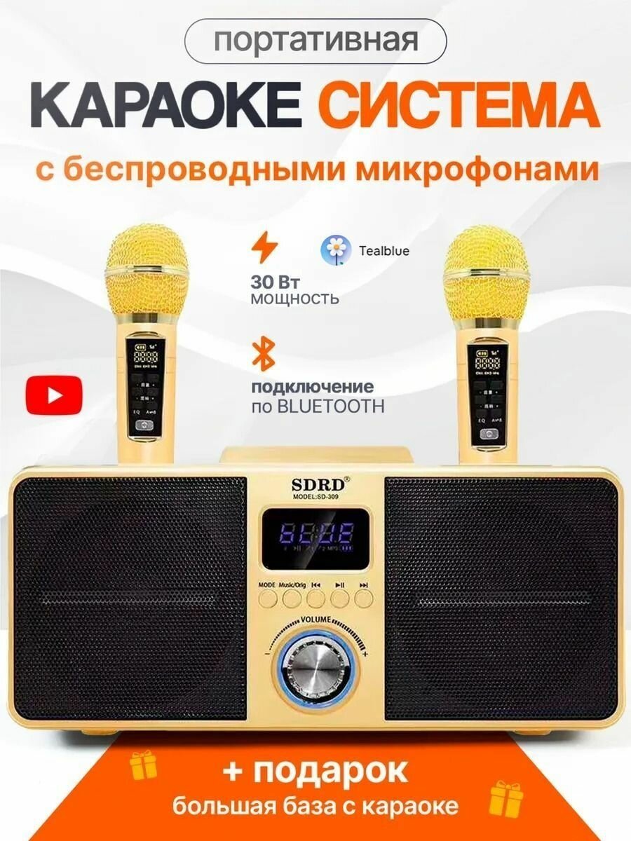 Караоке-система