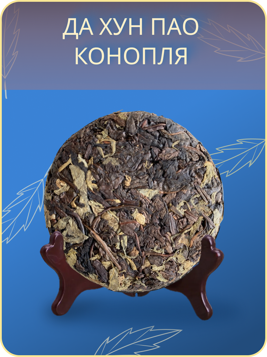 Да Хун Пао Конопля