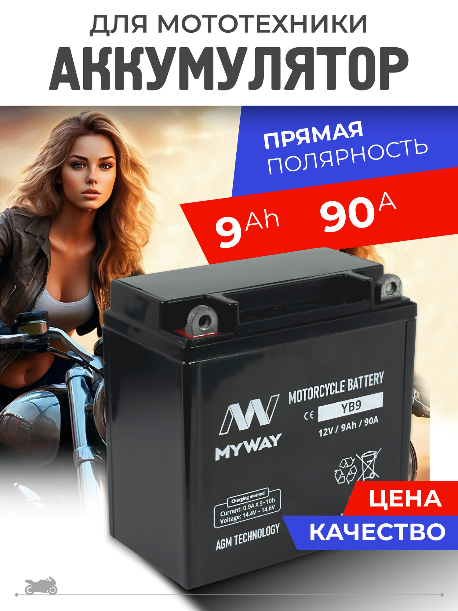 Аккумулятор 12v 9ah на мотоцикл, мопед, скутер, мотоблок AGM