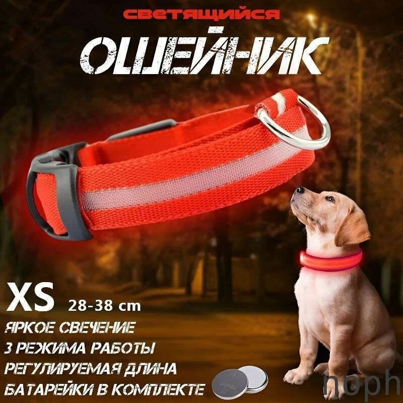 Noph Ошейник светящийся для собак и кошек светодиодный нейлоновый красного цвета, размер XSA