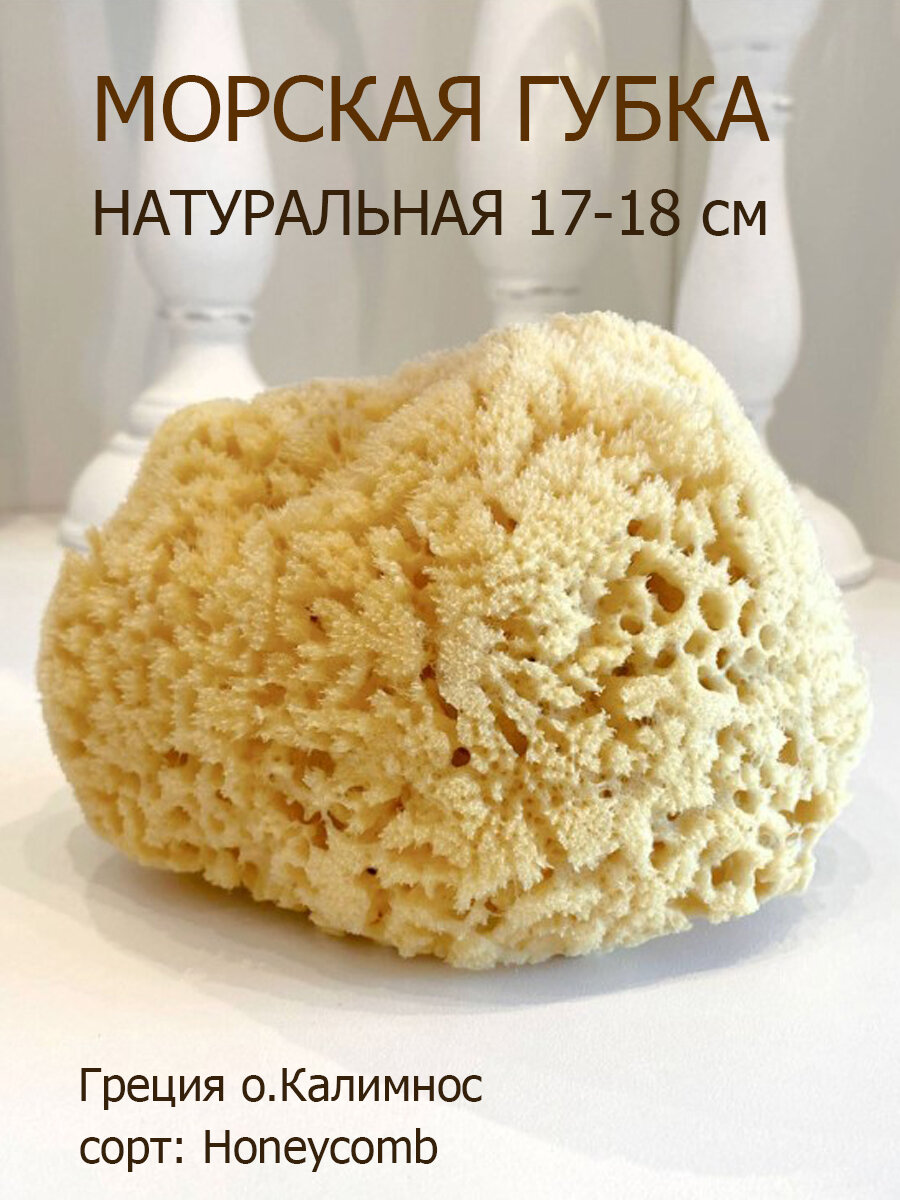 Губка морская натуральная Milos, HONEYCOMB, 17-18 см Греция (о. Милос)