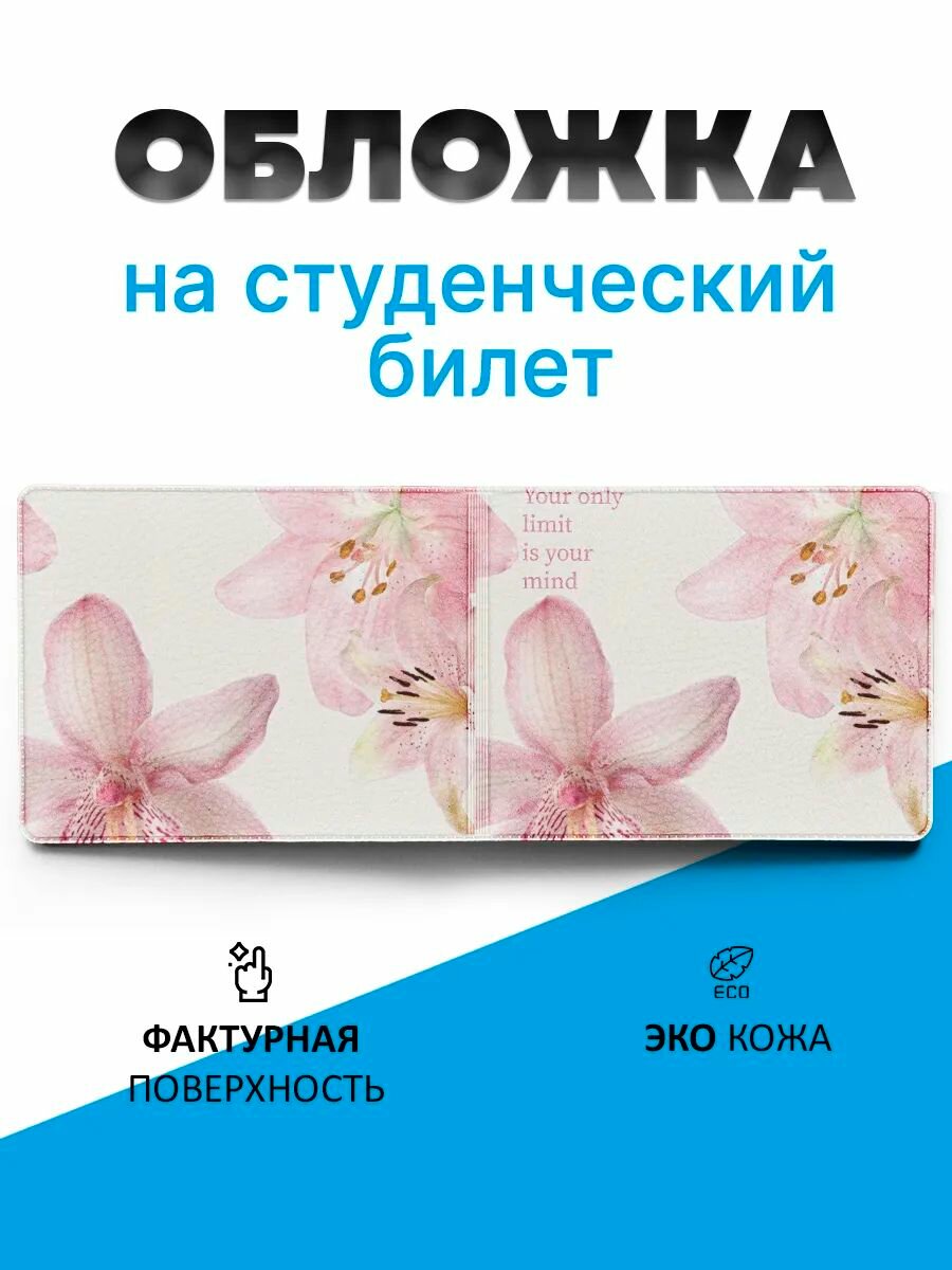 Обложка для студенческого билета