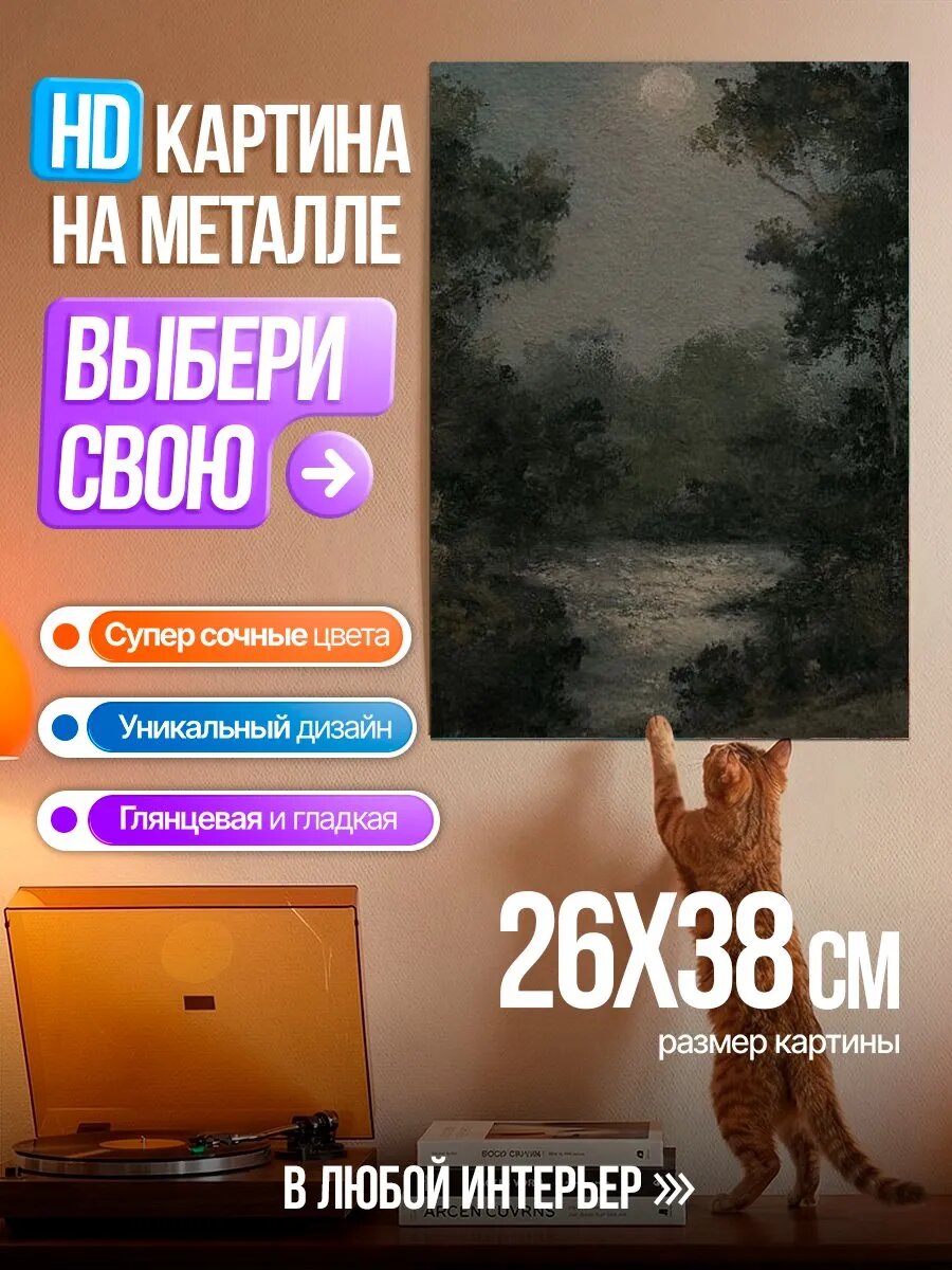 Картина на HD металле Ночной лес