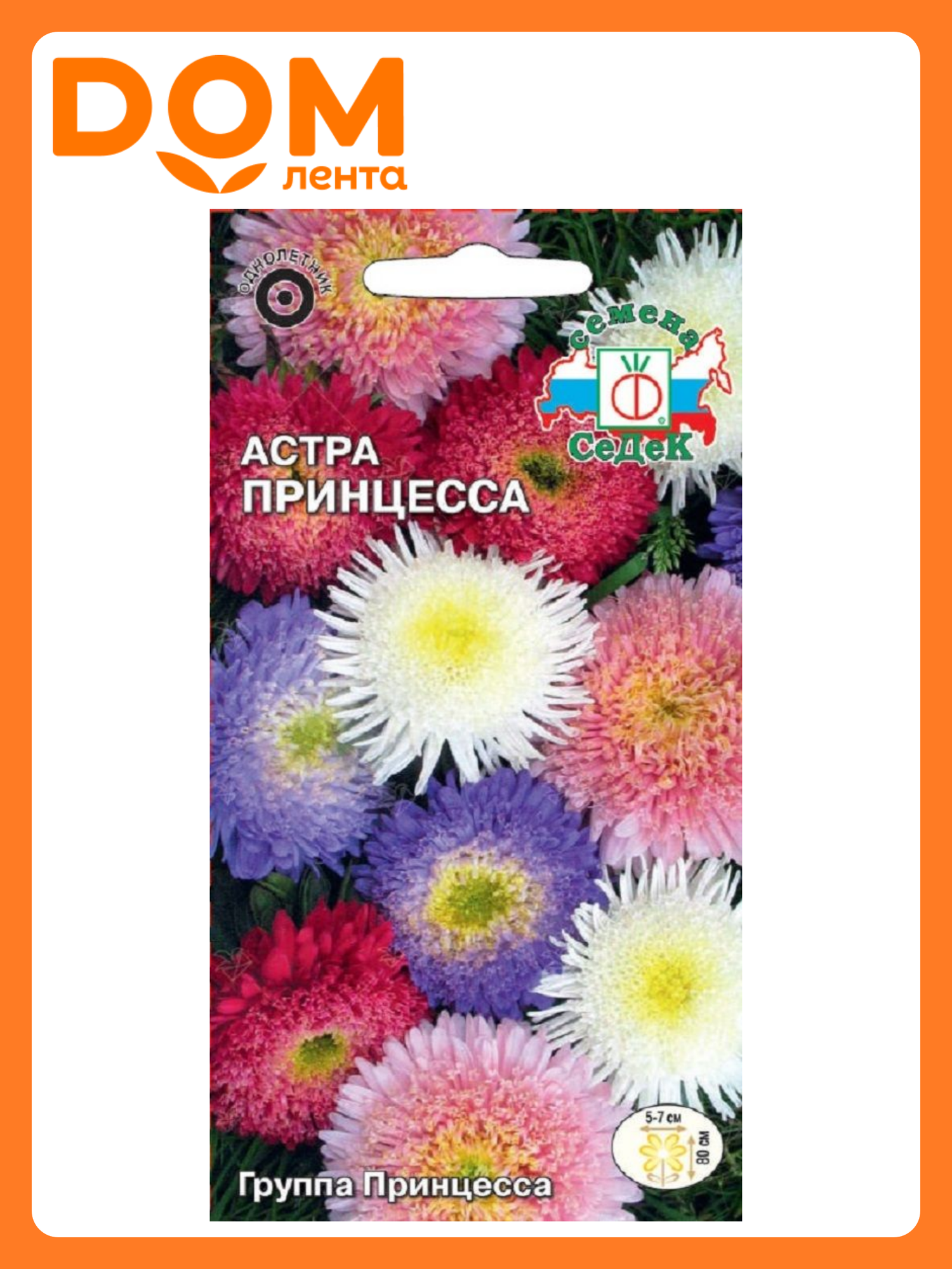 Цветок Астра Принцесса