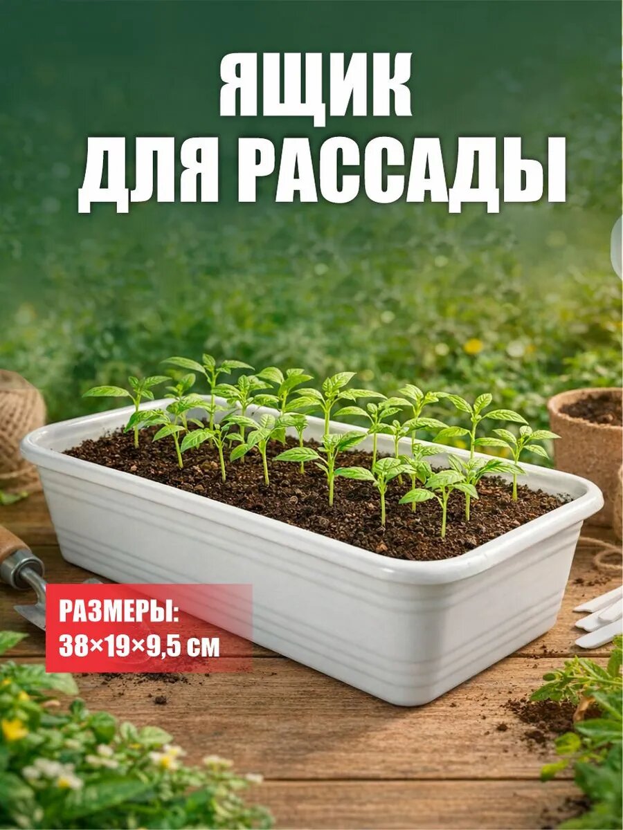 Ящик для рассады для подоконника пластиковый 380*190*95