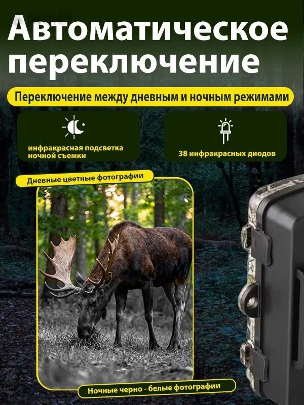 Фотоловушка — фото 1