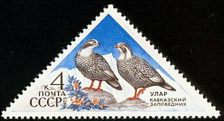 1973-059 Сцепка тет-беш (2 м) СССР Улар Государственные заповедники II O