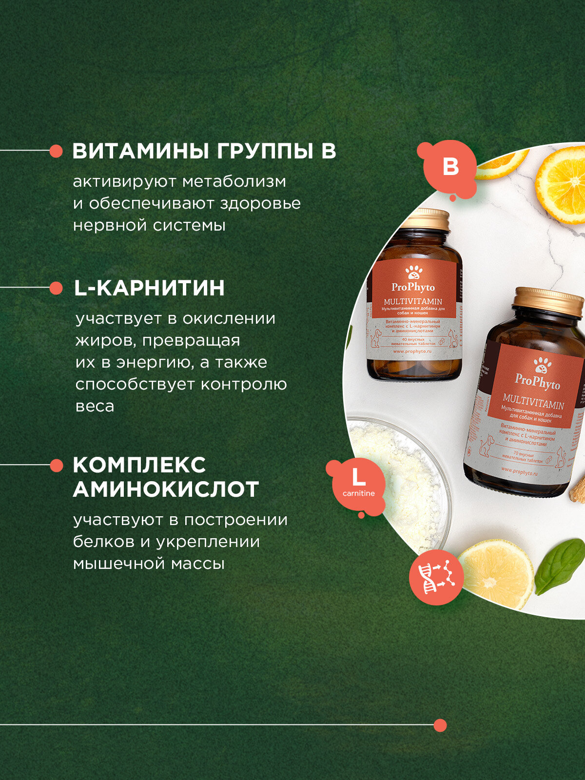 Витамины для собак и кошек ProPhyto Мультивитамин для общего здоровья, 40 таблеток — фото 1