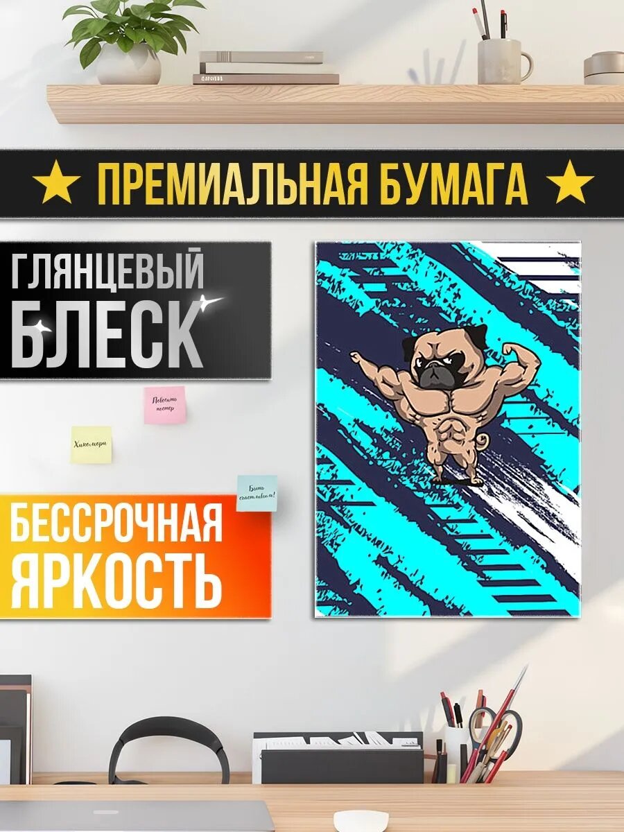 Постер на стену Мопс бодибилдер — фото 1