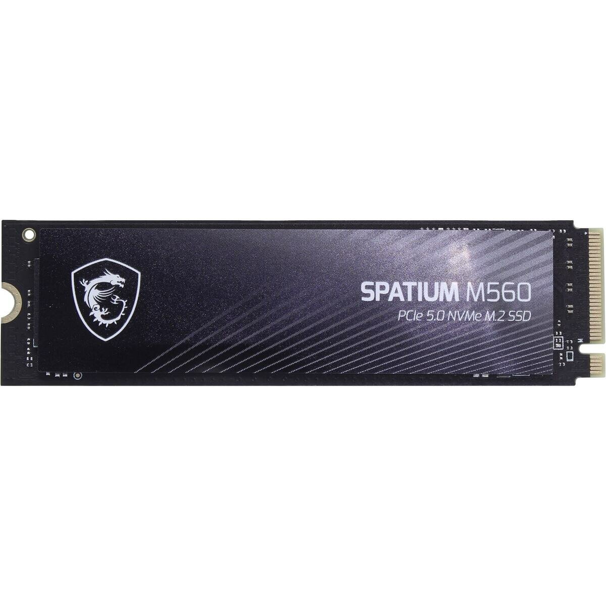 SPATIUM M560 1 Тб M.2 PCI-E Gen5 x4 M.2 Type 2280 M Key, TBW 600, 0.33 DWPD — фото 1