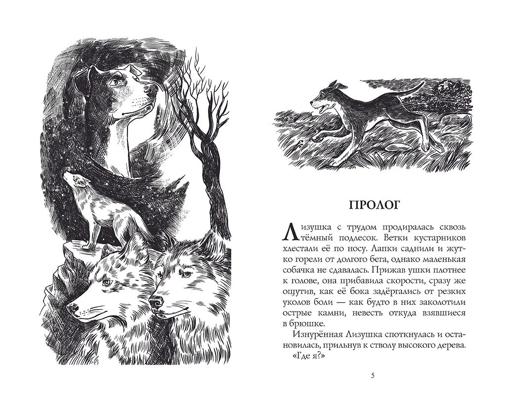 Путь изгнанницы. Эрин Хантер. Твёрдый переплёт. Издательство Просвещение — фото 1