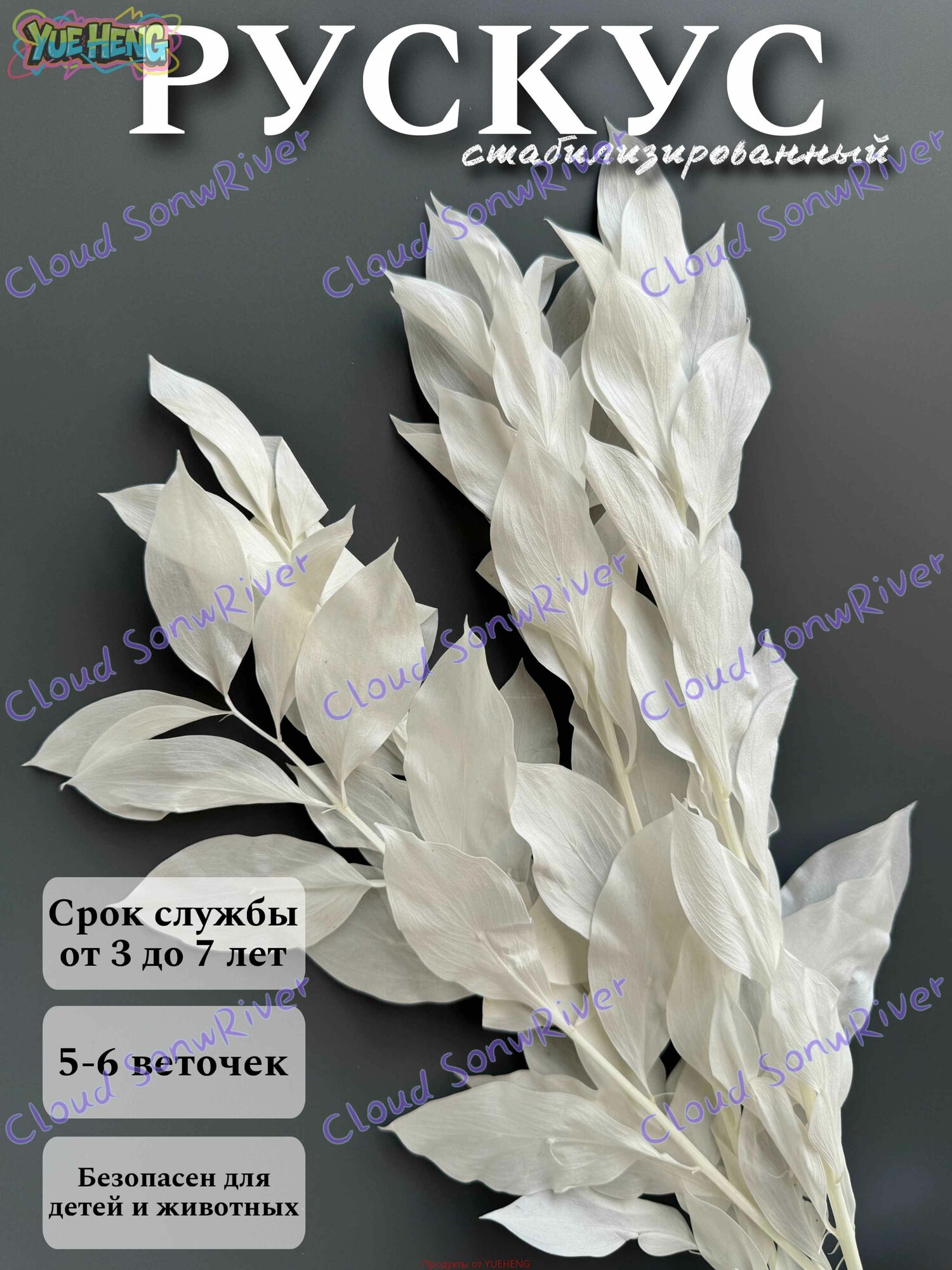 Стабилизированные цветы Рускус, 60 см, 1 шт