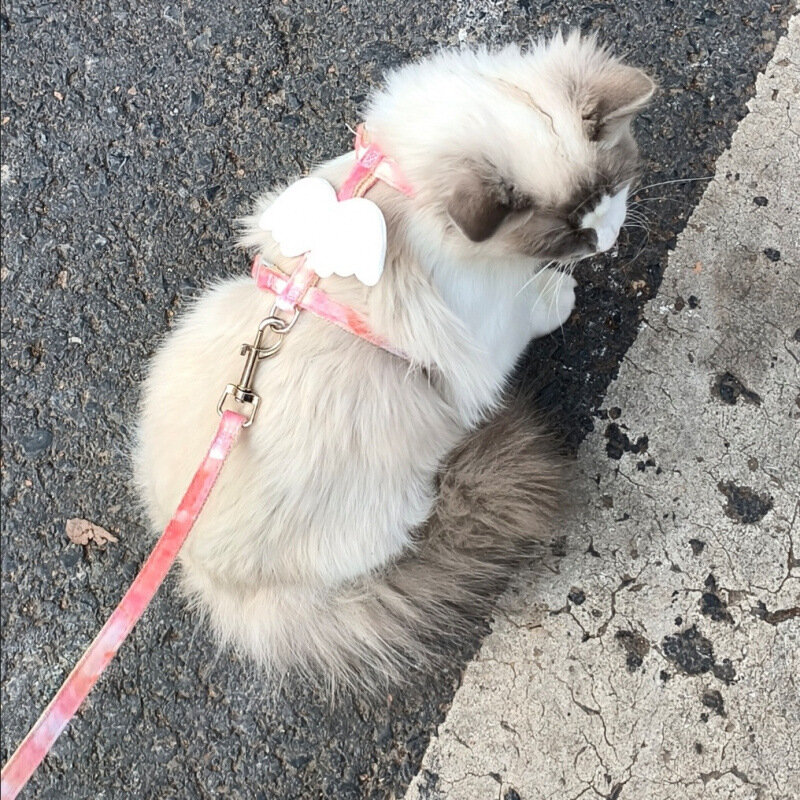 Ошейник для кошек и собак с милыми крыльями, регулируемый поводок для маленьких питомцев Цвет：Новый розовый【Милые