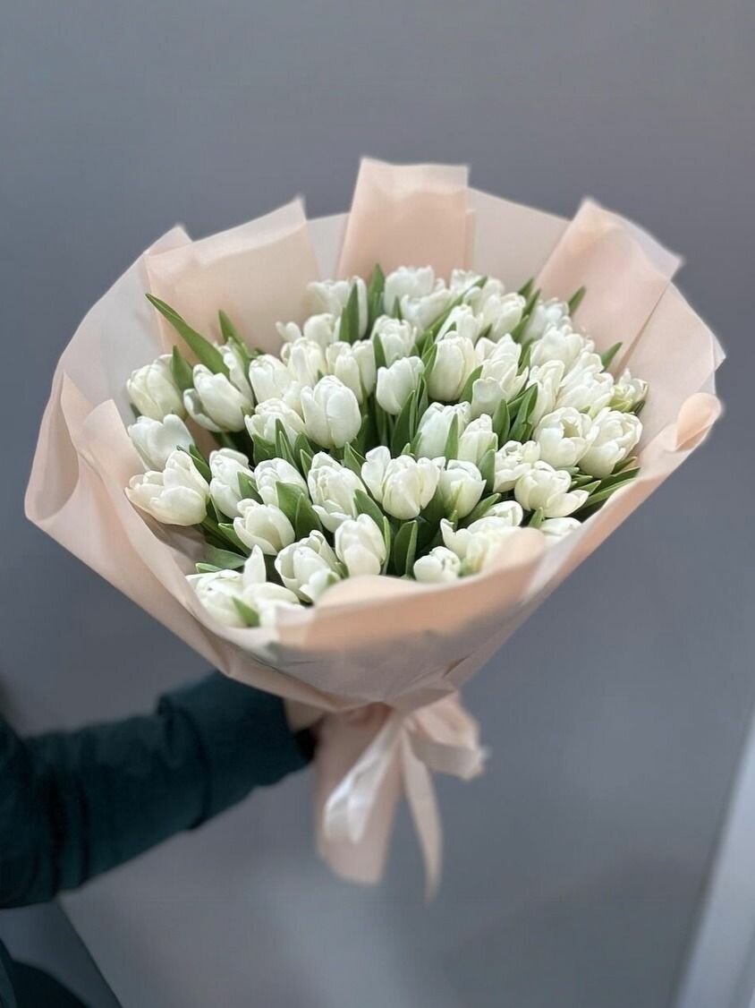 51 белый тюльпан