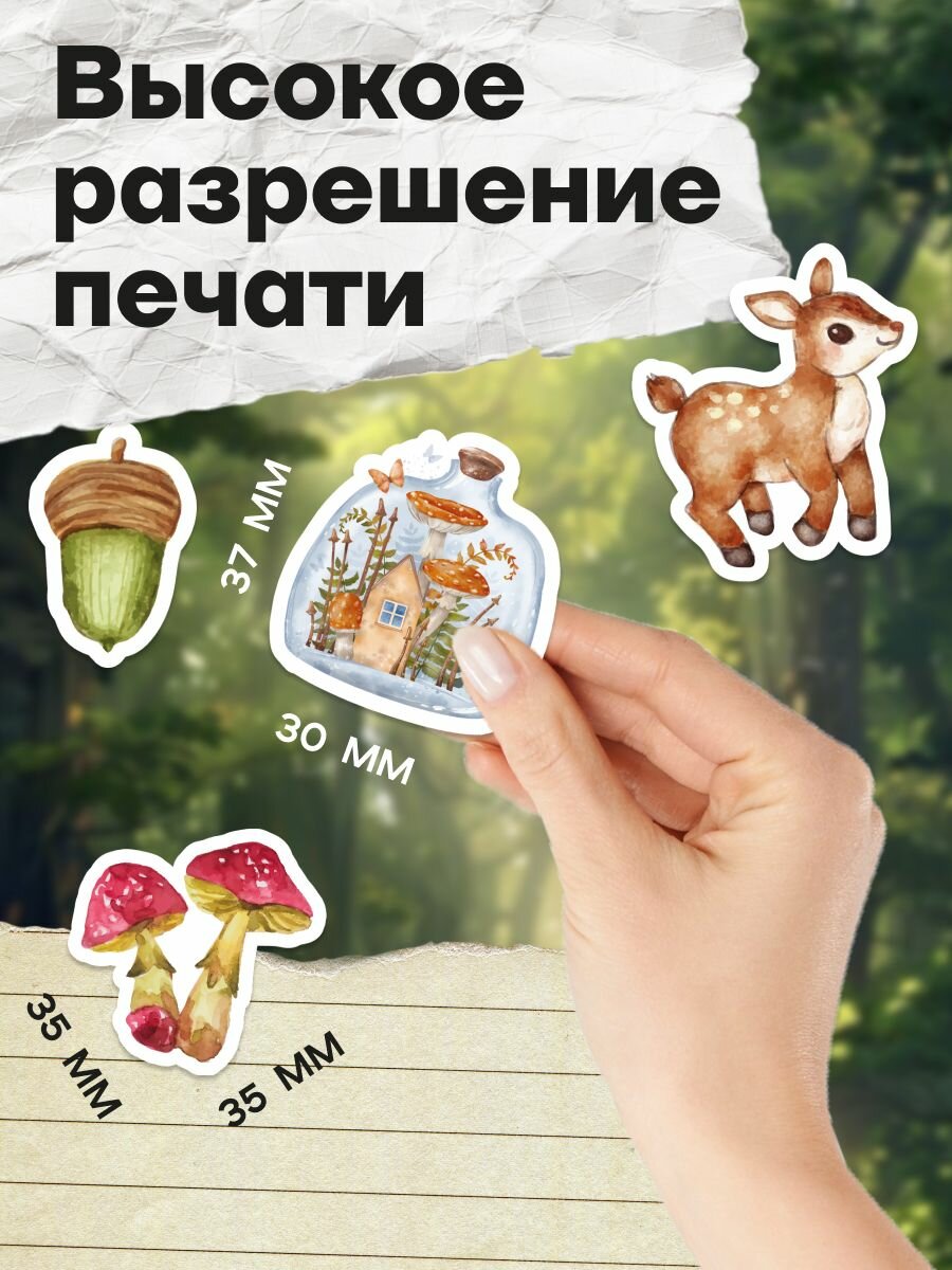 Наклейки лесной мир, виниловые, многоразовые, 85 штук, влагостойкие — фото 1