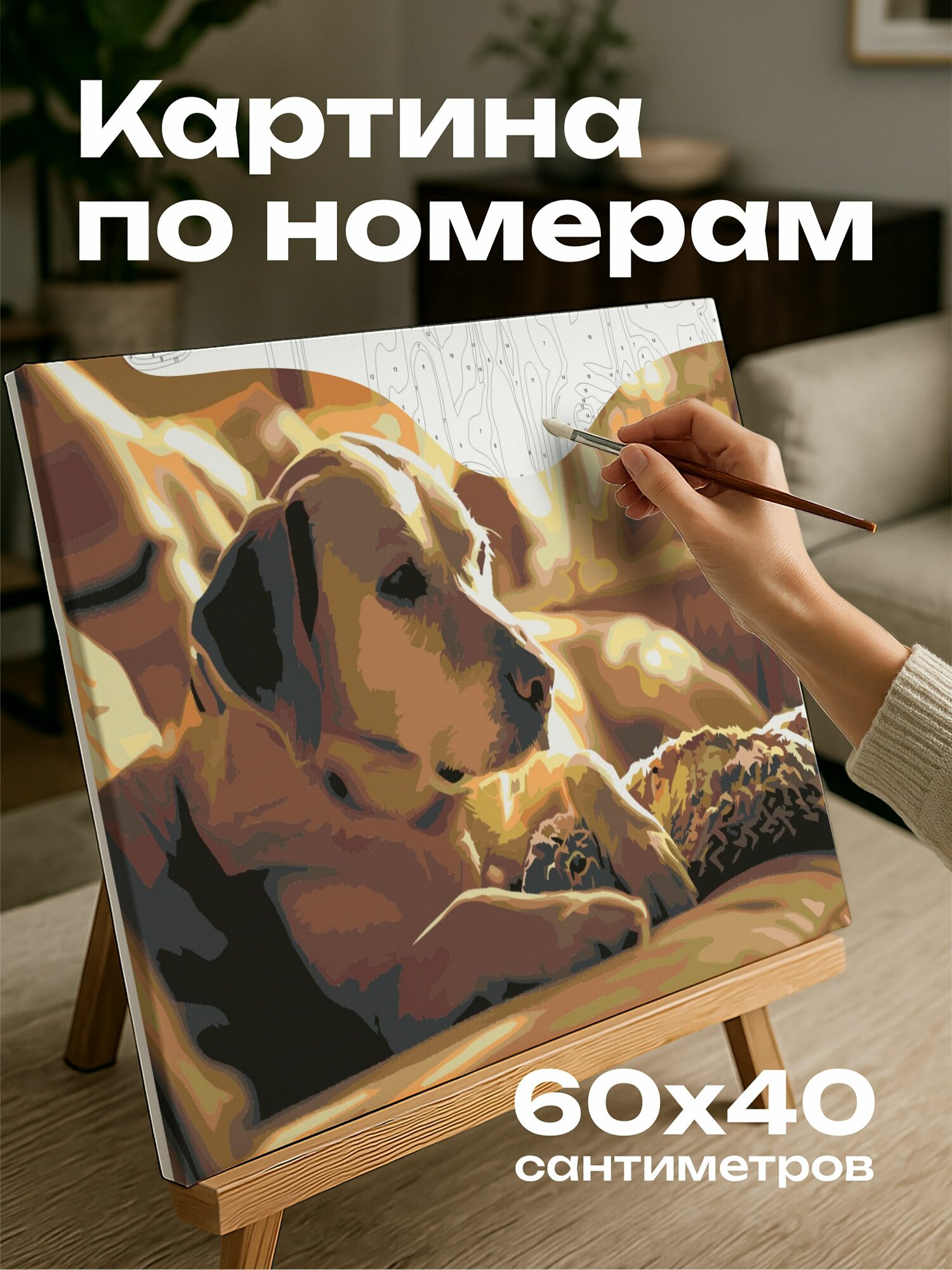Картина по номерам 60x40 см, Лабрадор, привязанность, тепло, любовь, преданность, гостья, солнце, фотография, момент