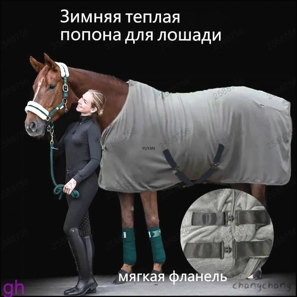 Эксклюзивная попона для лошади