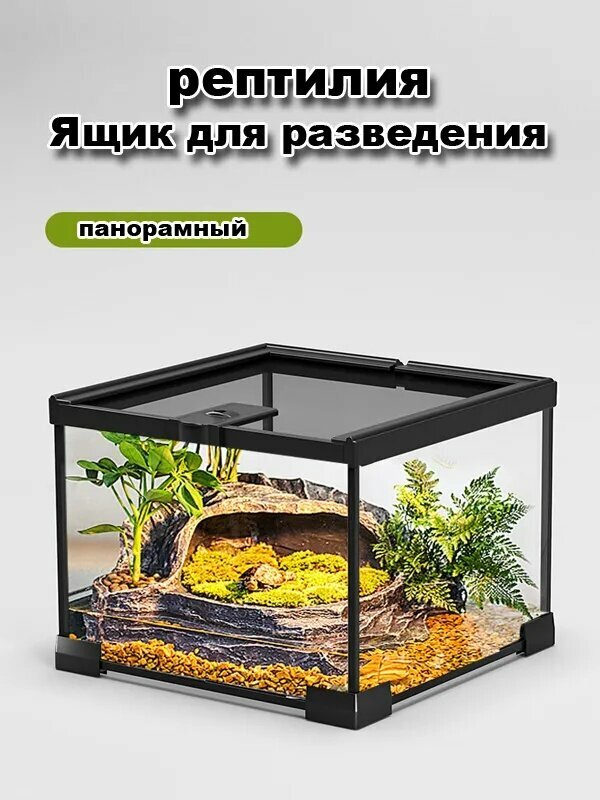 Террариум для рептилий , ящериц , хамелеона