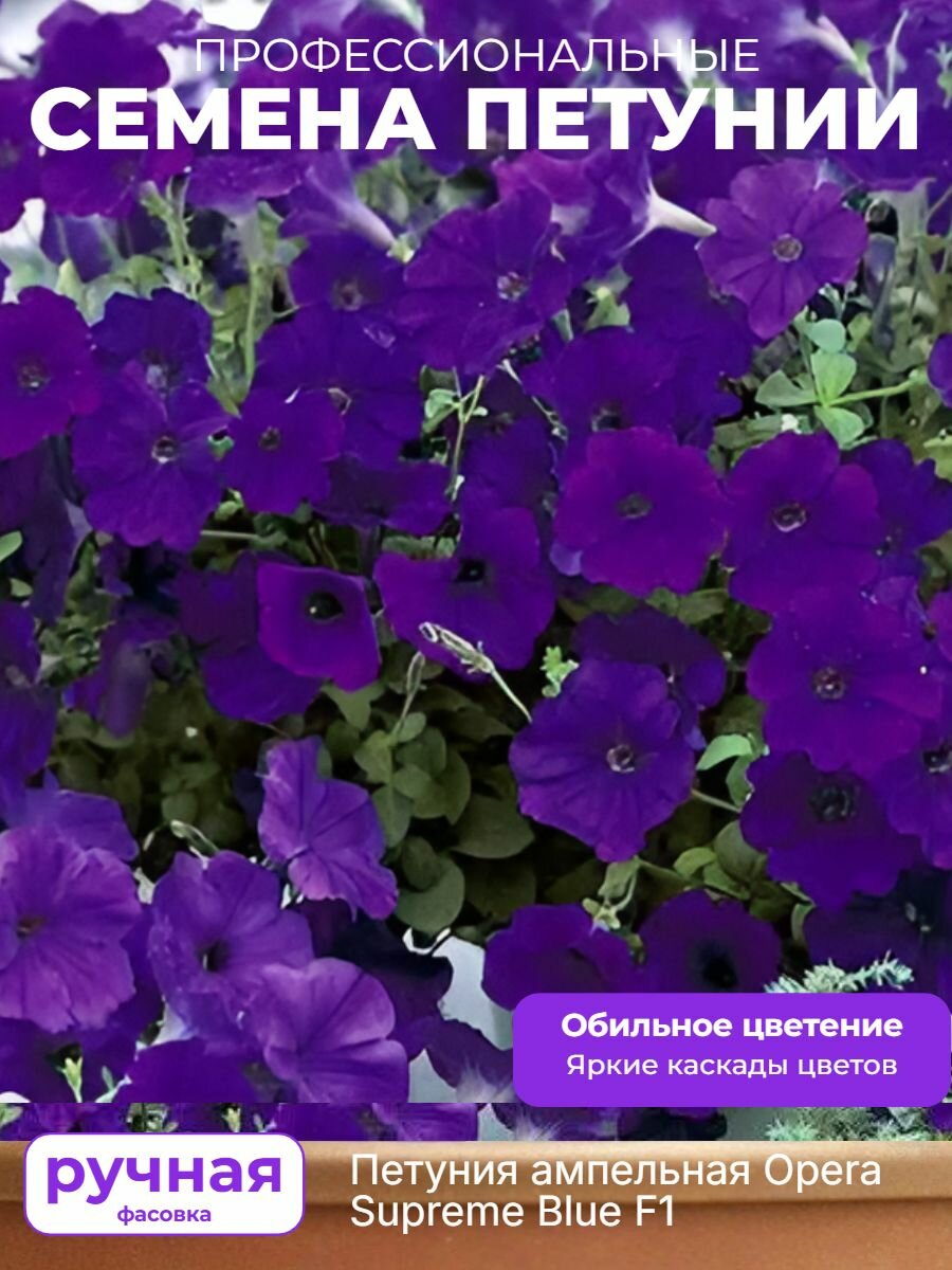 Семена петунии ампельной "Opera Supreme Blue",3 драже TAKII, для вертикального озеленения.