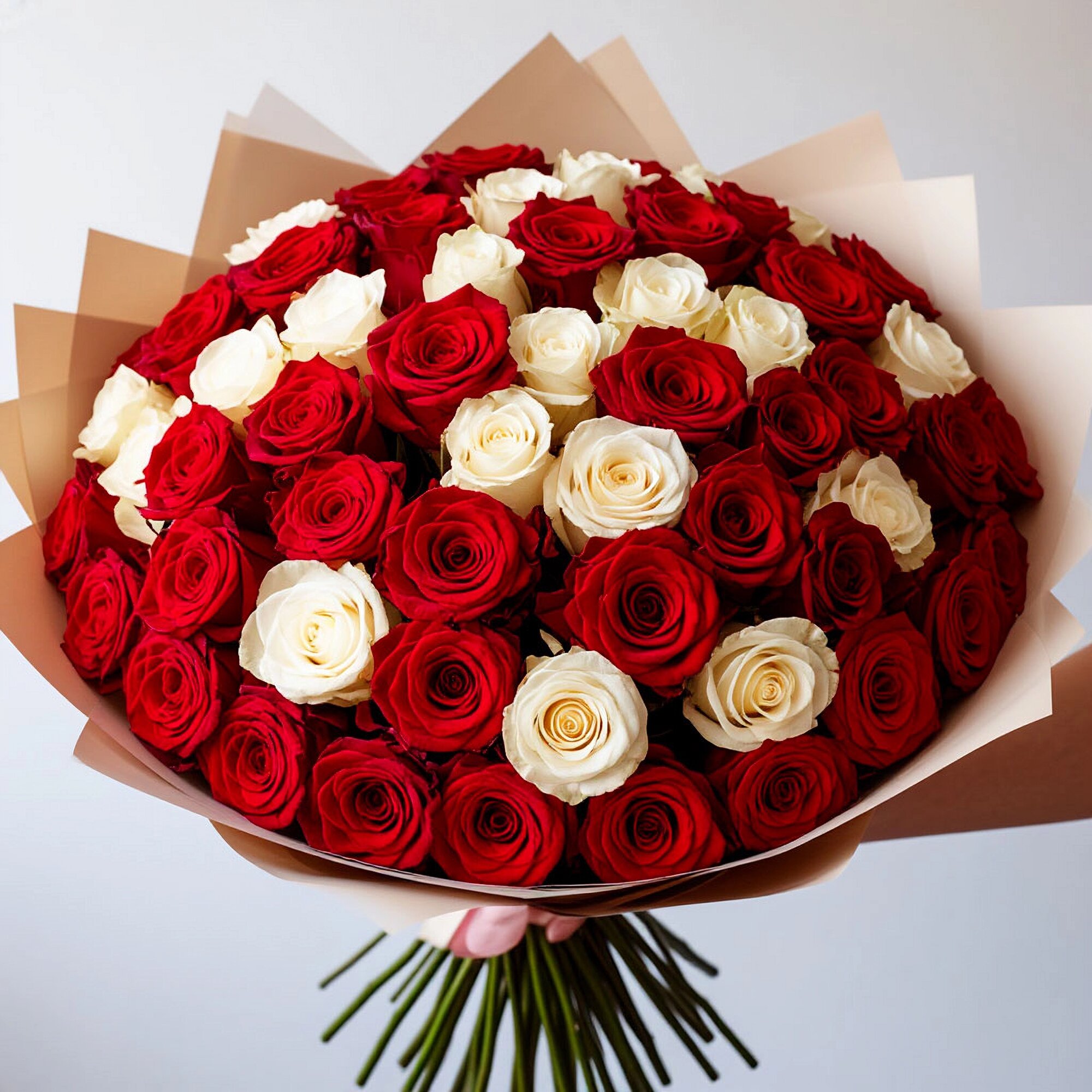Букет из красных и белых роз 51 шт, премиум цветы, шикарный букет