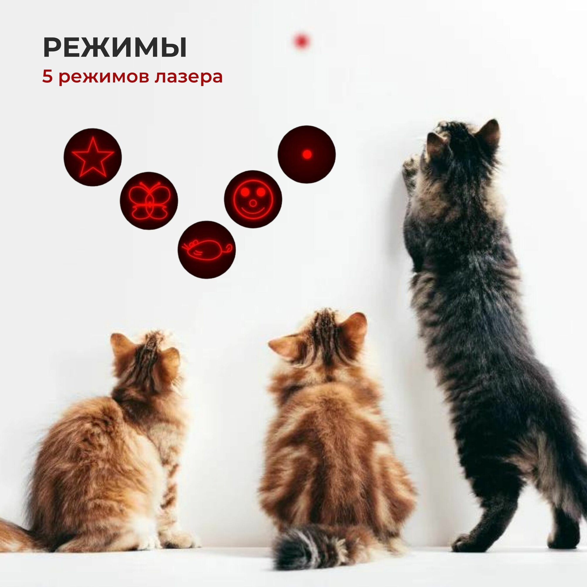 Лазерная указка — фото 1